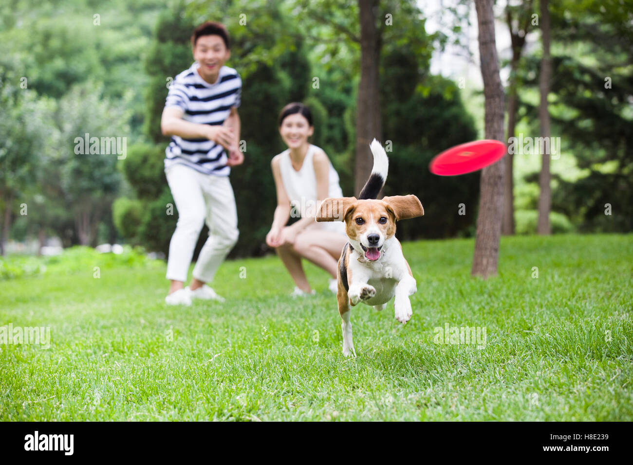 Young Chinese couple playing with a cute dog Stock Photo - Alamy