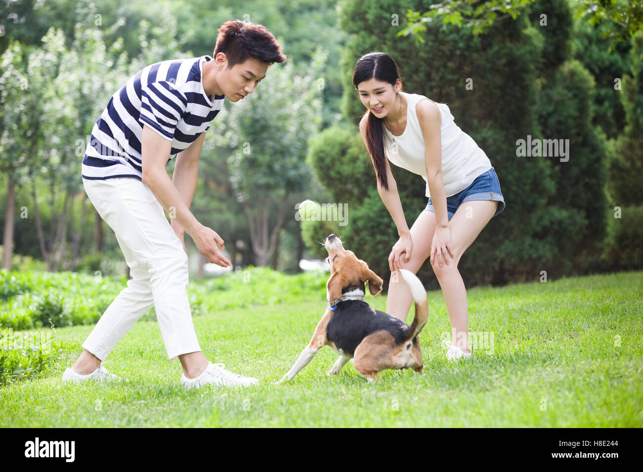 Young Chinese couple playing with a cute dog Stock Photo - Alamy