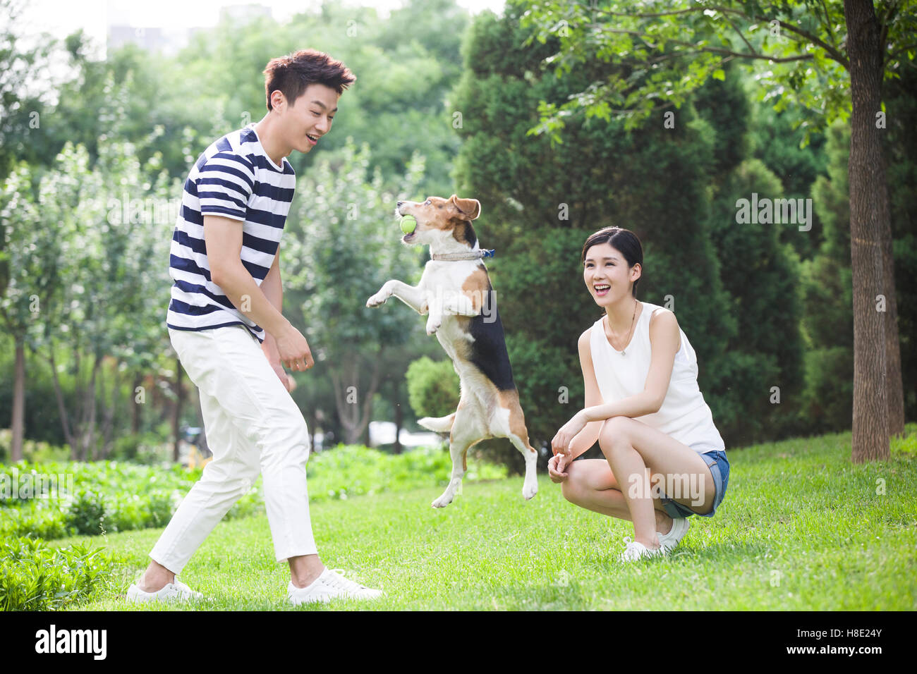 Young Chinese couple playing with a cute dog Stock Photo - Alamy