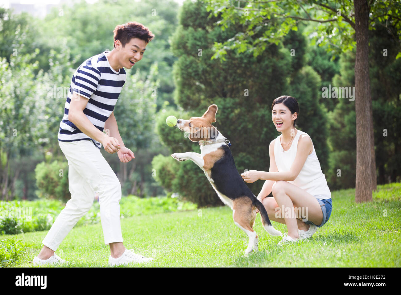 Young Chinese couple playing with a cute dog Stock Photo - Alamy