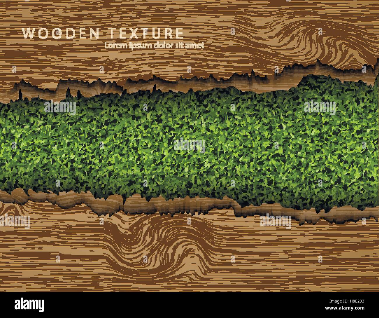 Realistic wood texture Stock Vector Image & Art - Alamy