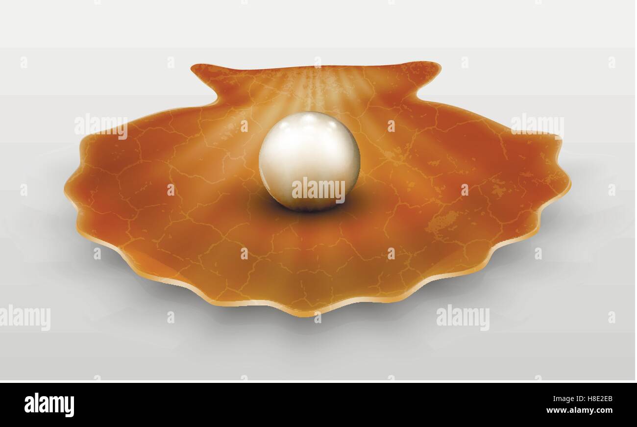 Vector pearl in shell Stock Vector Image & Art - Alamy