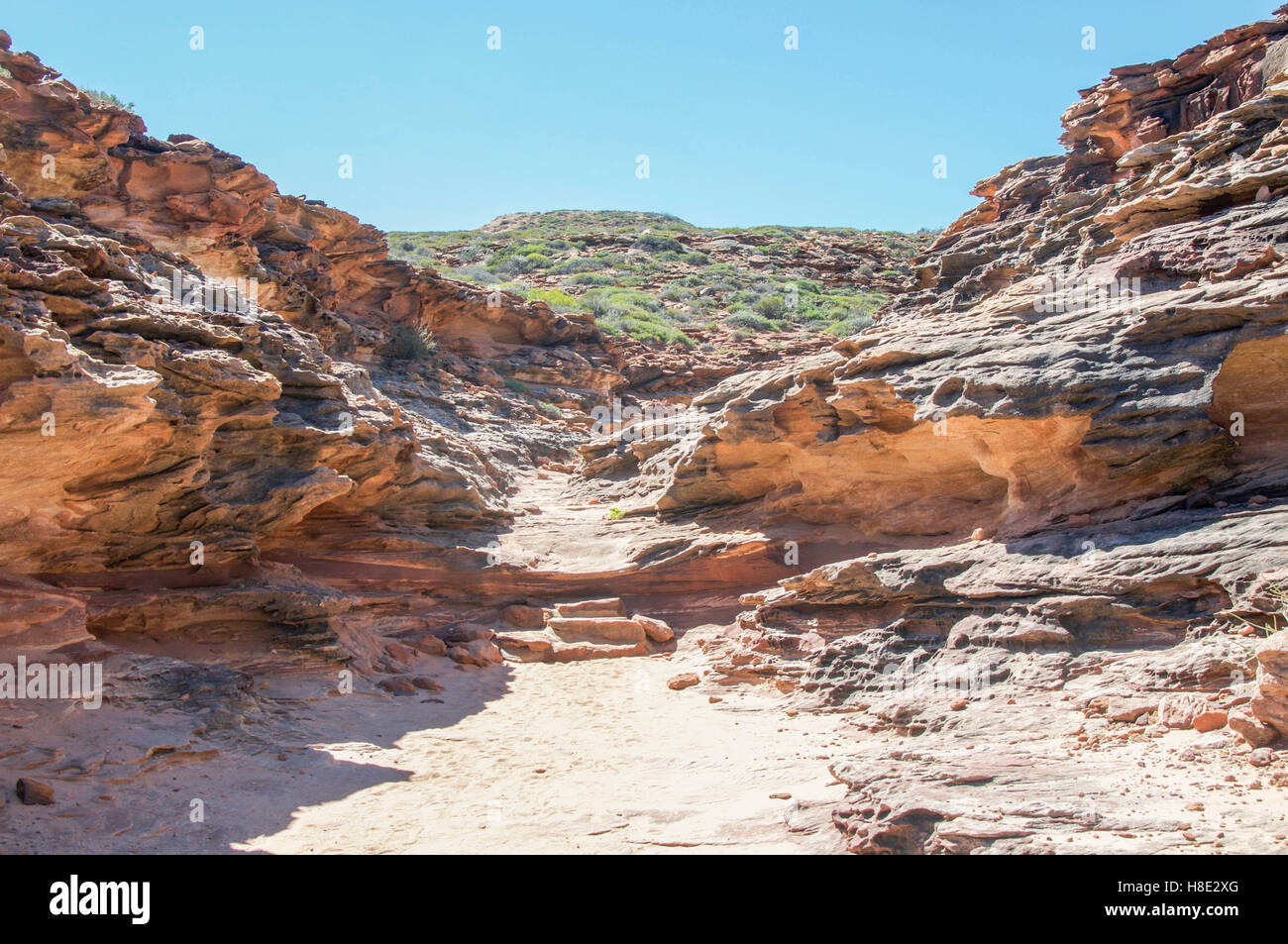 Path through the red sandstone gorge with native plants at Pot Alley on ...