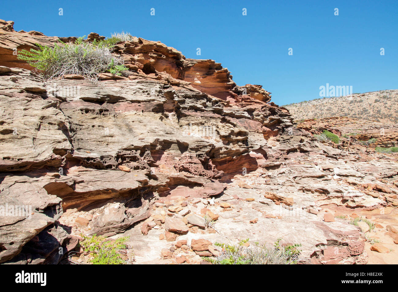 Rugged coastal red sandstone with native plants at the Pot Alley gorge ...