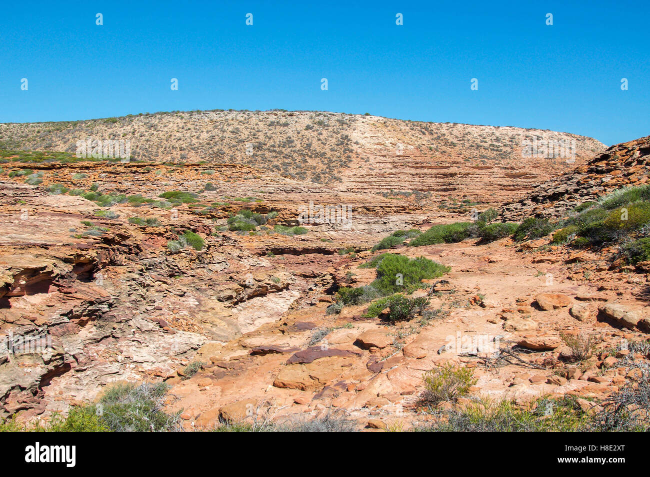 Rugged coastal red sandstone with native plants at Pot Alley gorge on ...