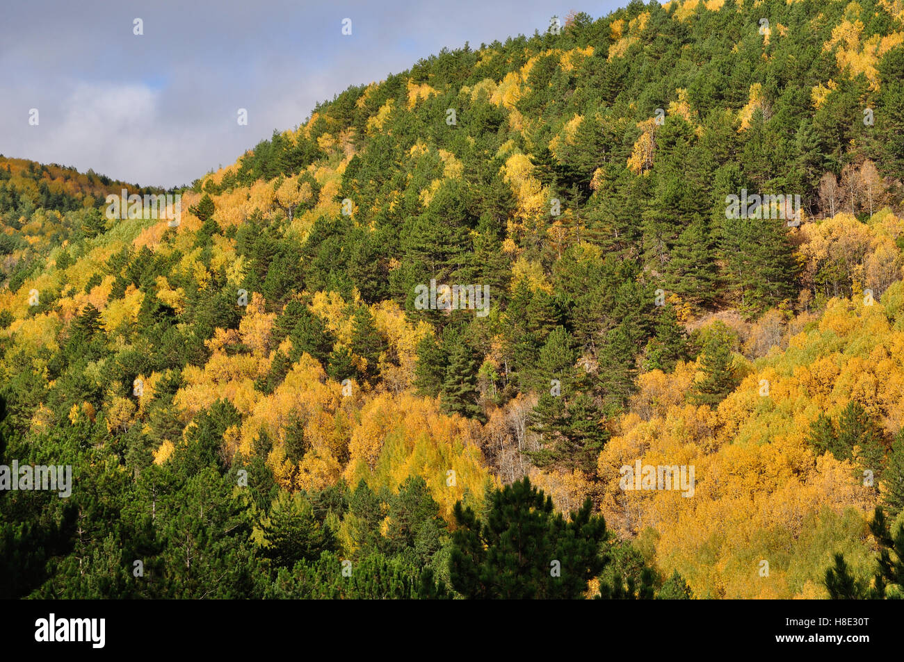 Outdoor fall colors Stock Photo - Alamy