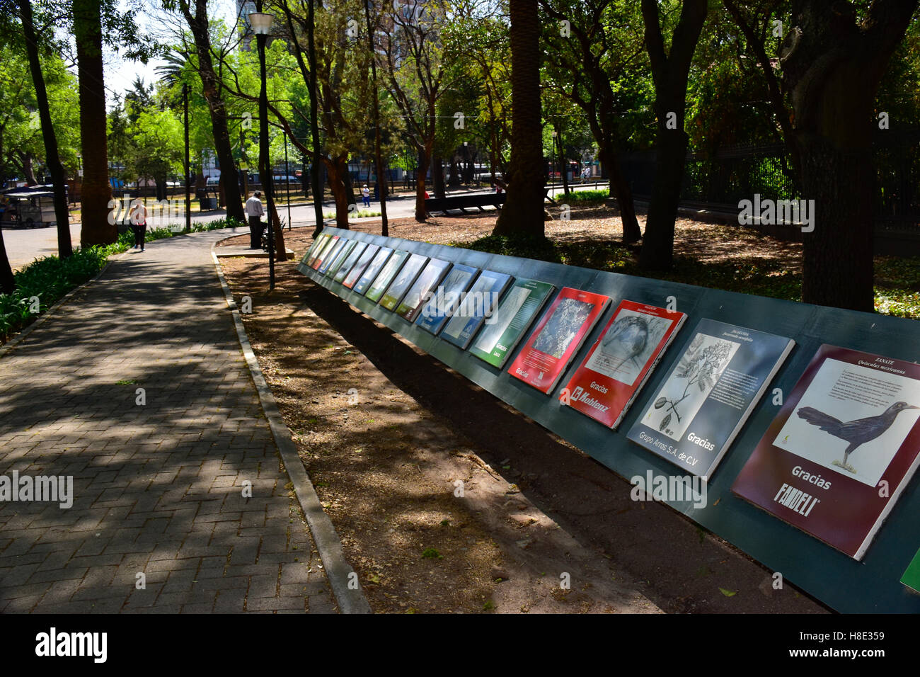 Chapultepec Park, Mexico City, D.F., Mexico Stock Photo - Alamy