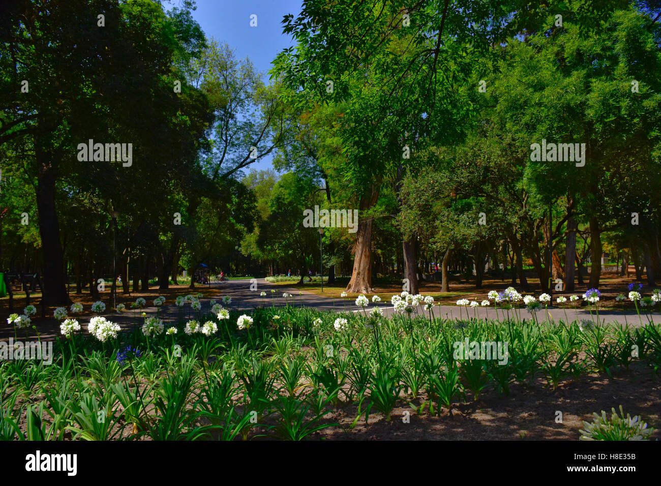 Chapultepec Park, Mexico City, D.F., Mexico Stock Photo - Alamy