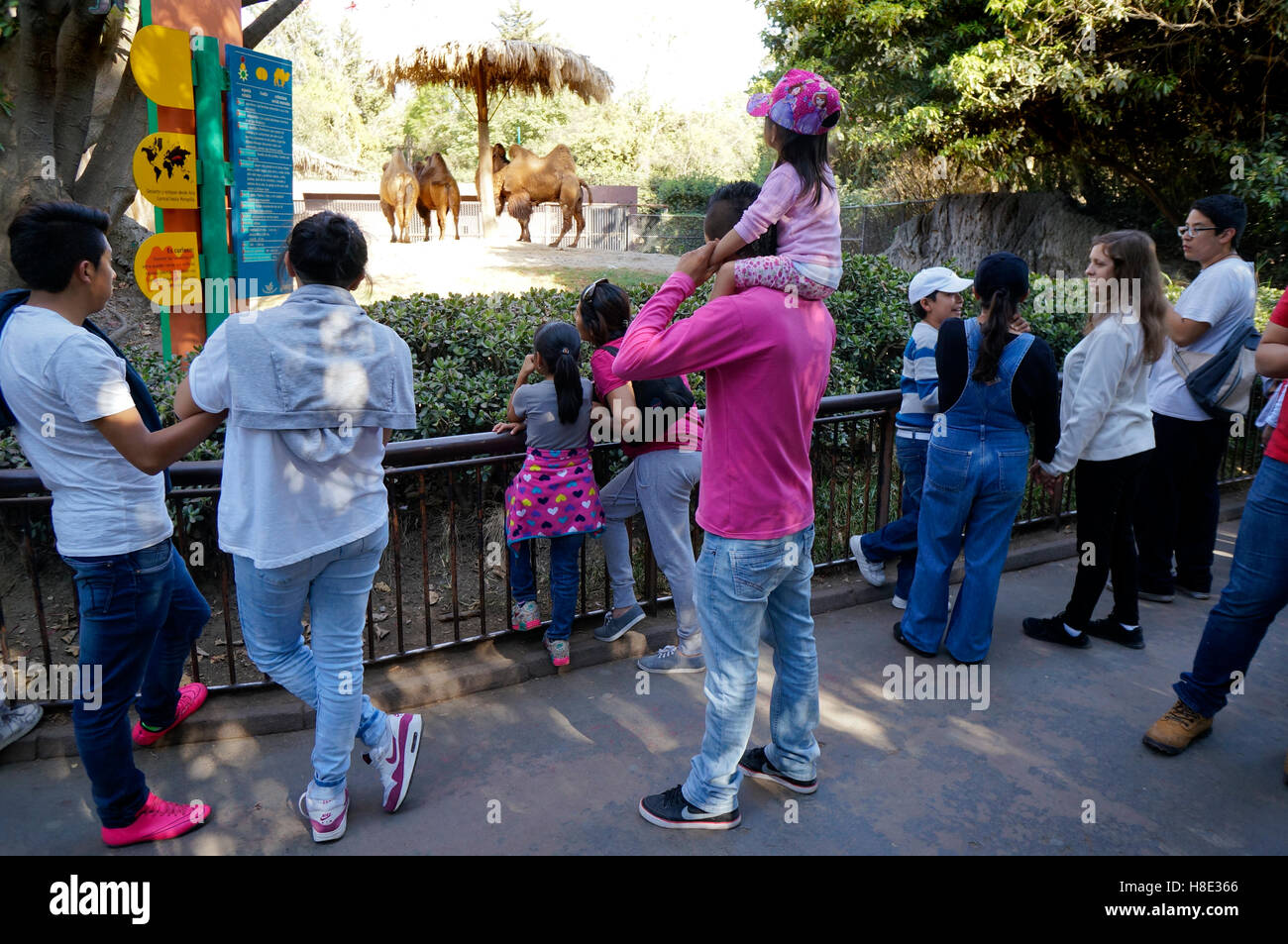The Chapultepec Zoo in Chapultepec Park, Mexico City, Mexico Stock ...