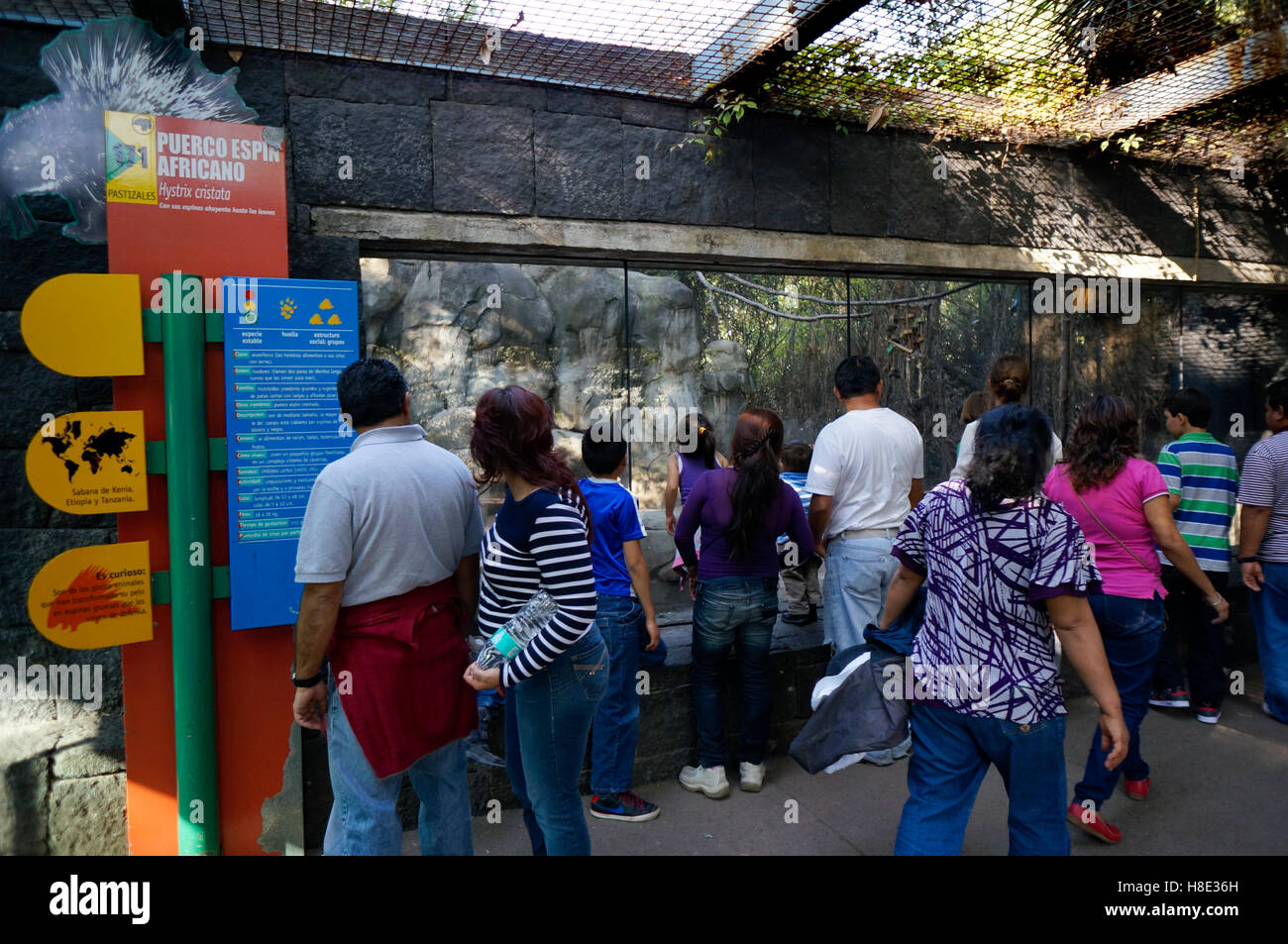 The Chapultepec Zoo in Chapultepec Park, Mexico City, Mexico Stock ...