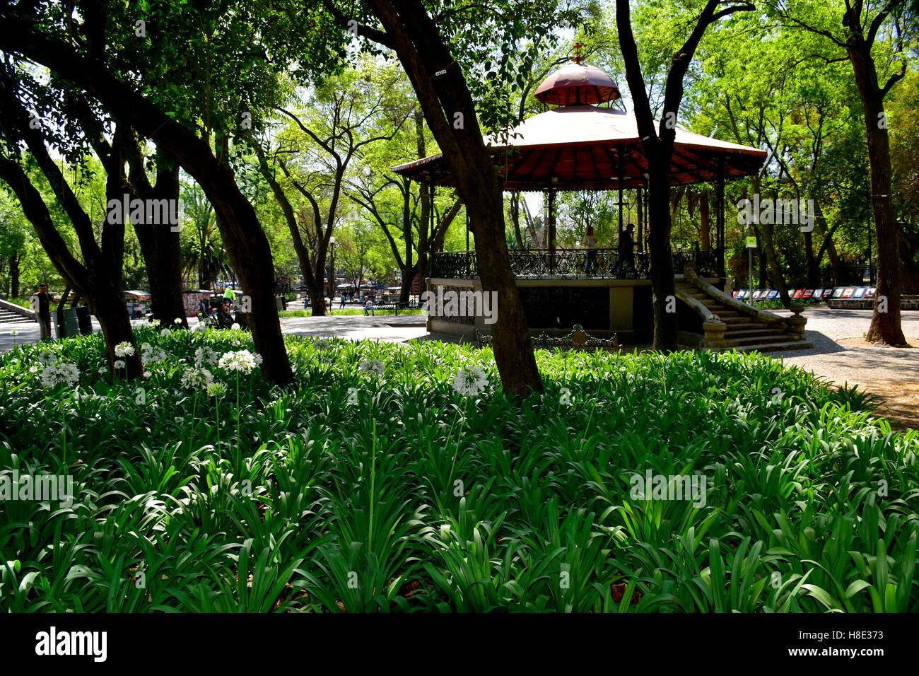 Chapultepec Park, Mexico City, D.F., Mexico Stock Photo - Alamy