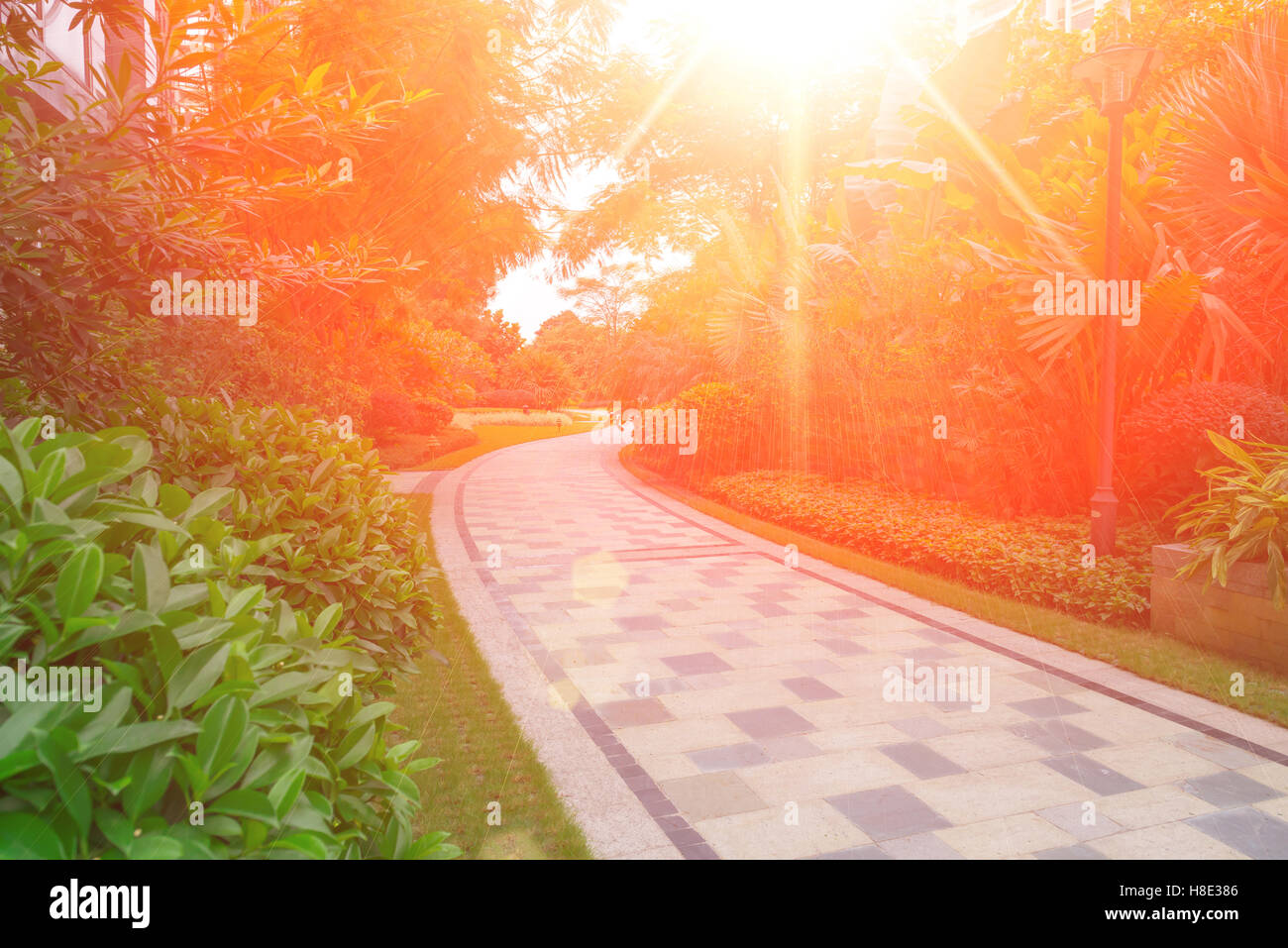 pathway in outdoor of a residential building with the Sun rising in the ...