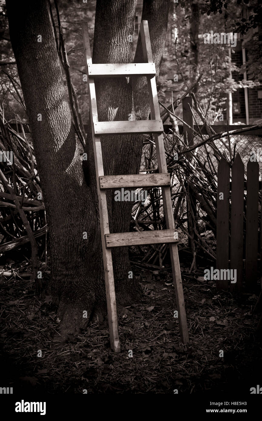 Simple ladder hi-res stock photography and images - Alamy