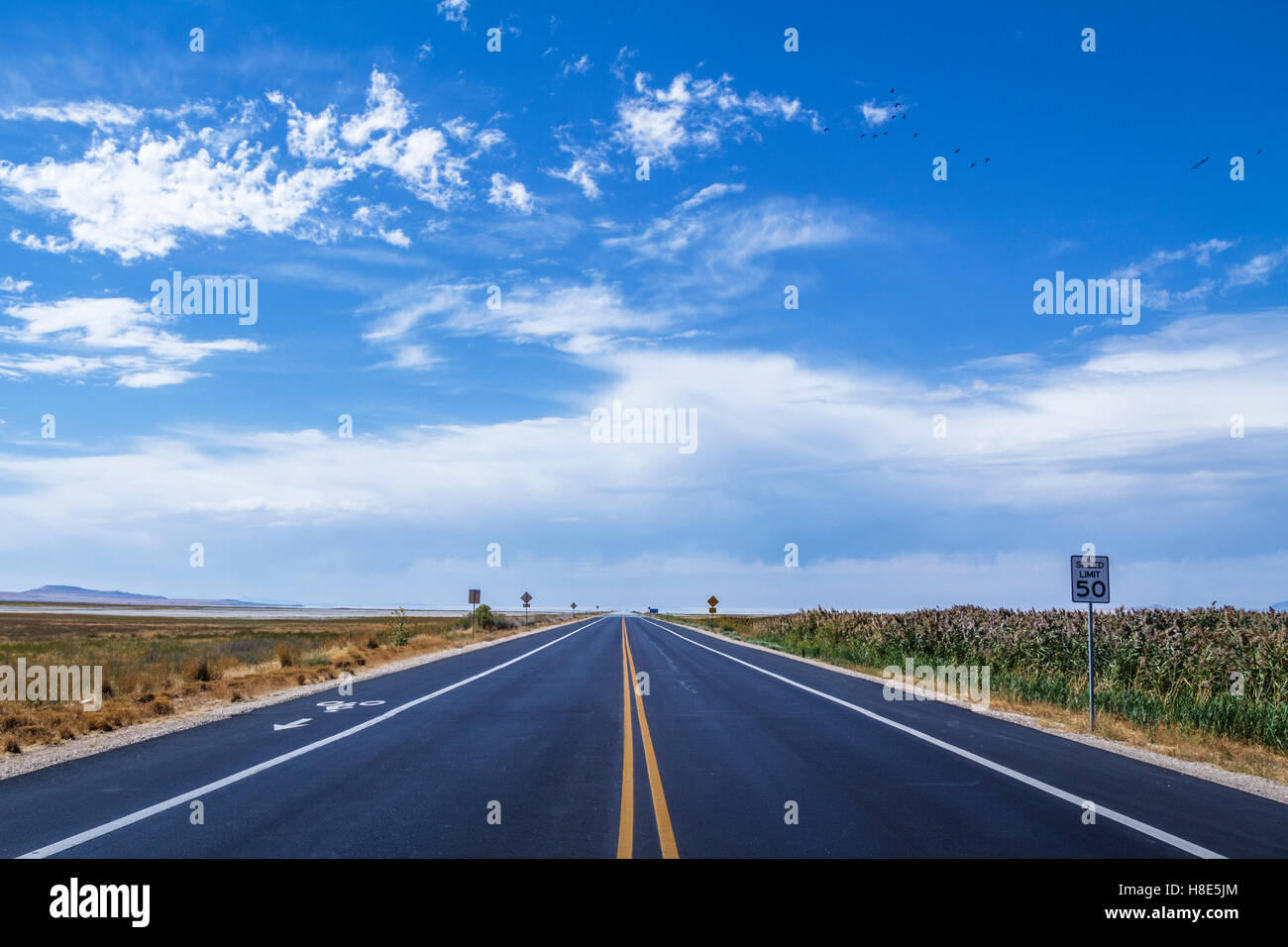 Endless road somewhere in the midwest Stock Photo - Alamy