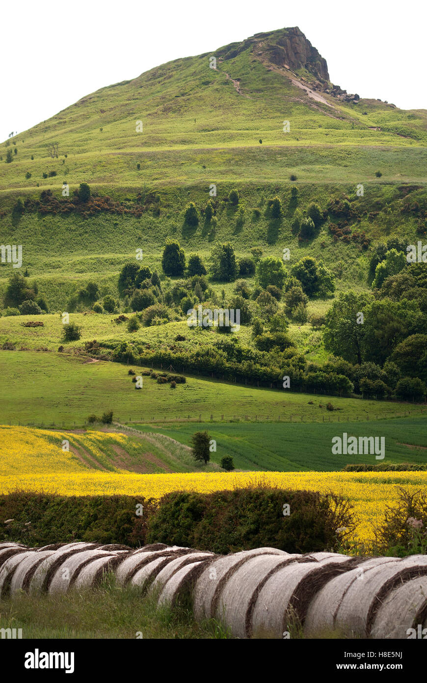 Roseberry Topping, North Yorkshire Stock Photo - Alamy