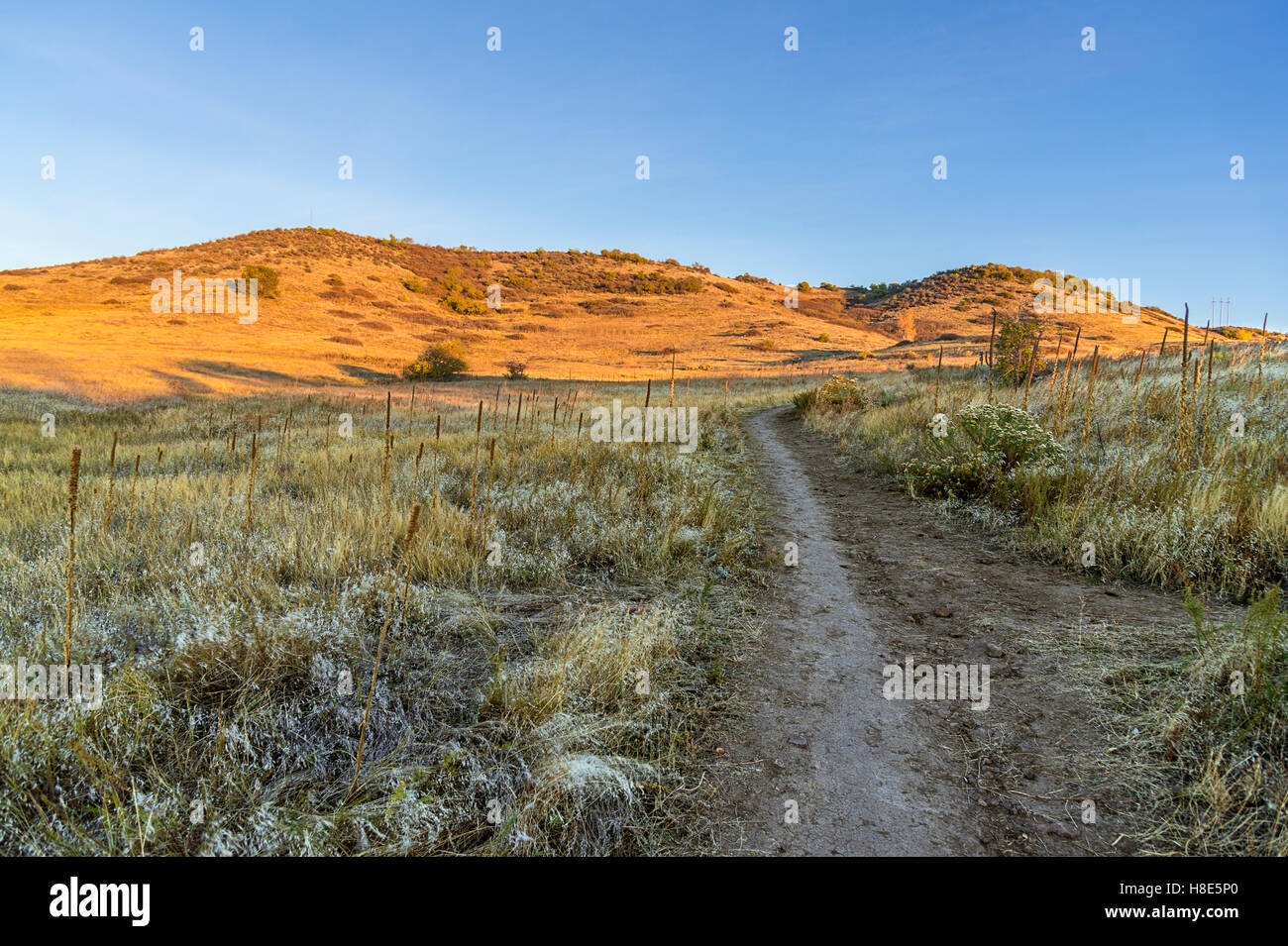 Dirt road trail path through hi-res stock photography and images - Alamy