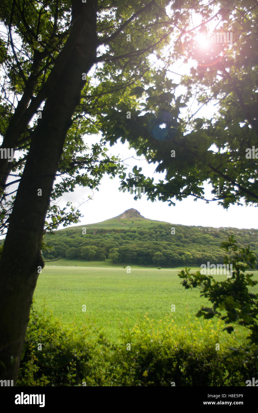 Roseberry Topping, North Yorkshire Stock Photo - Alamy