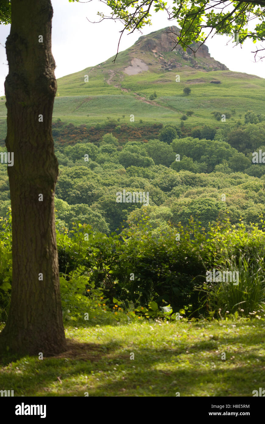 Roseberry Topping, North Yorkshire Stock Photo - Alamy