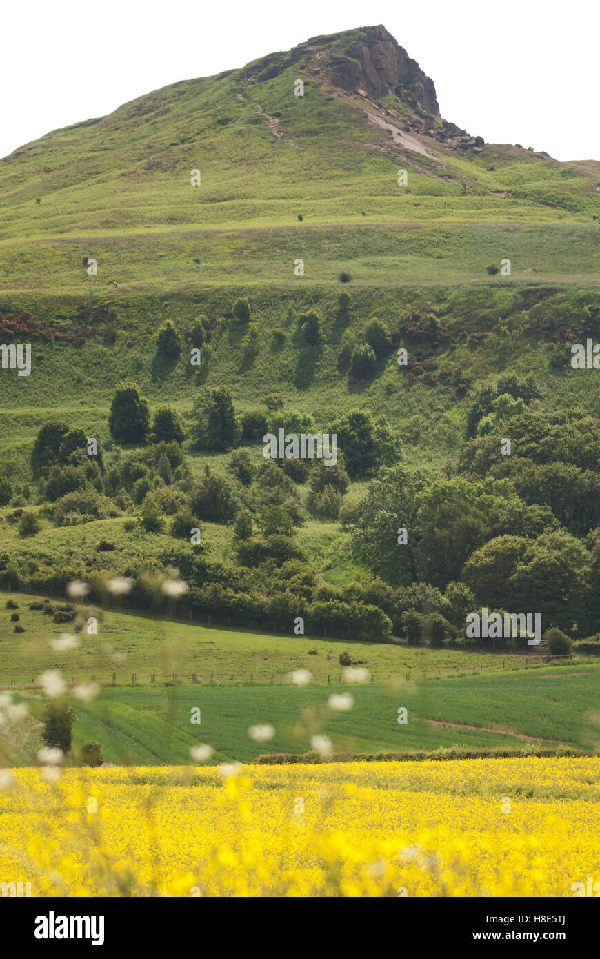 Roseberry Topping, North Yorkshire Stock Photo - Alamy