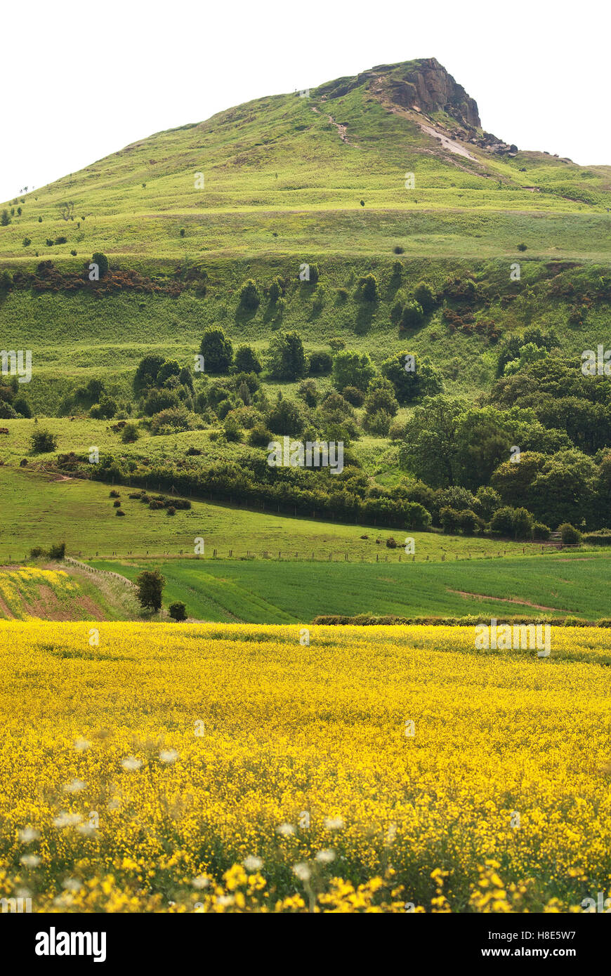 Roseberry Topping, North Yorkshire Stock Photo - Alamy