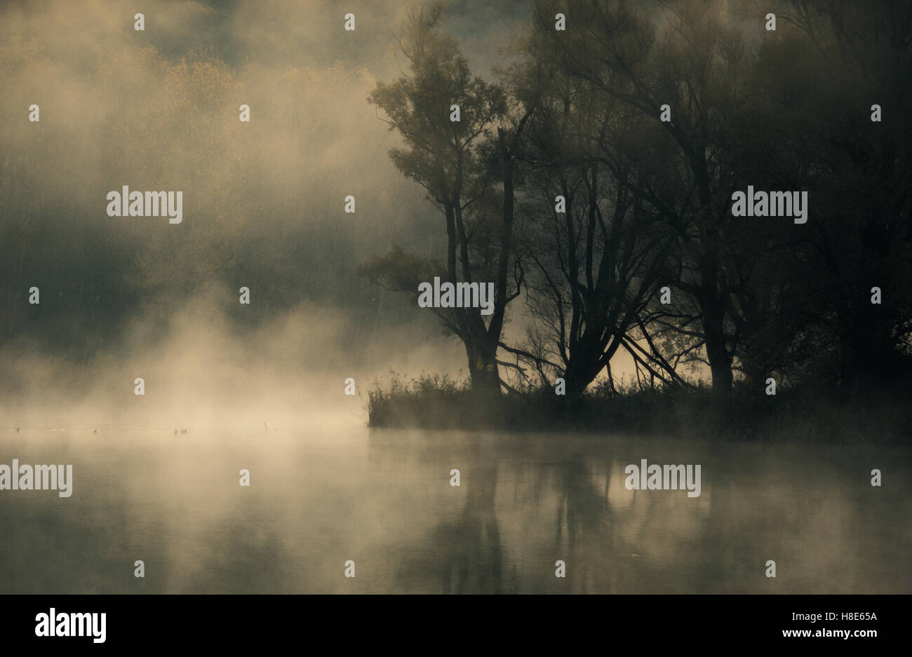 Ghosts on the river Stock Photo - Alamy