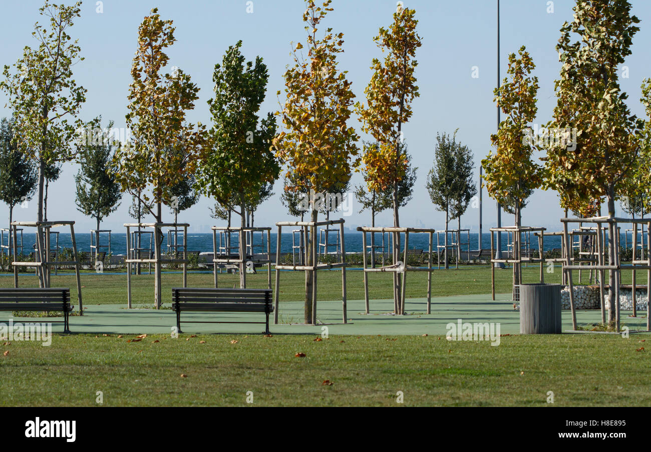 Empty footpath trees in park day hi-res stock photography and images ...
