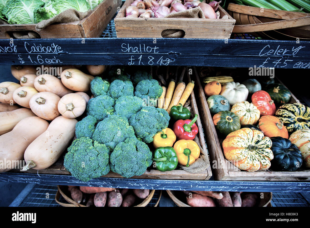 Selection of Fresh Organic Vegetables Stock Photo - Alamy