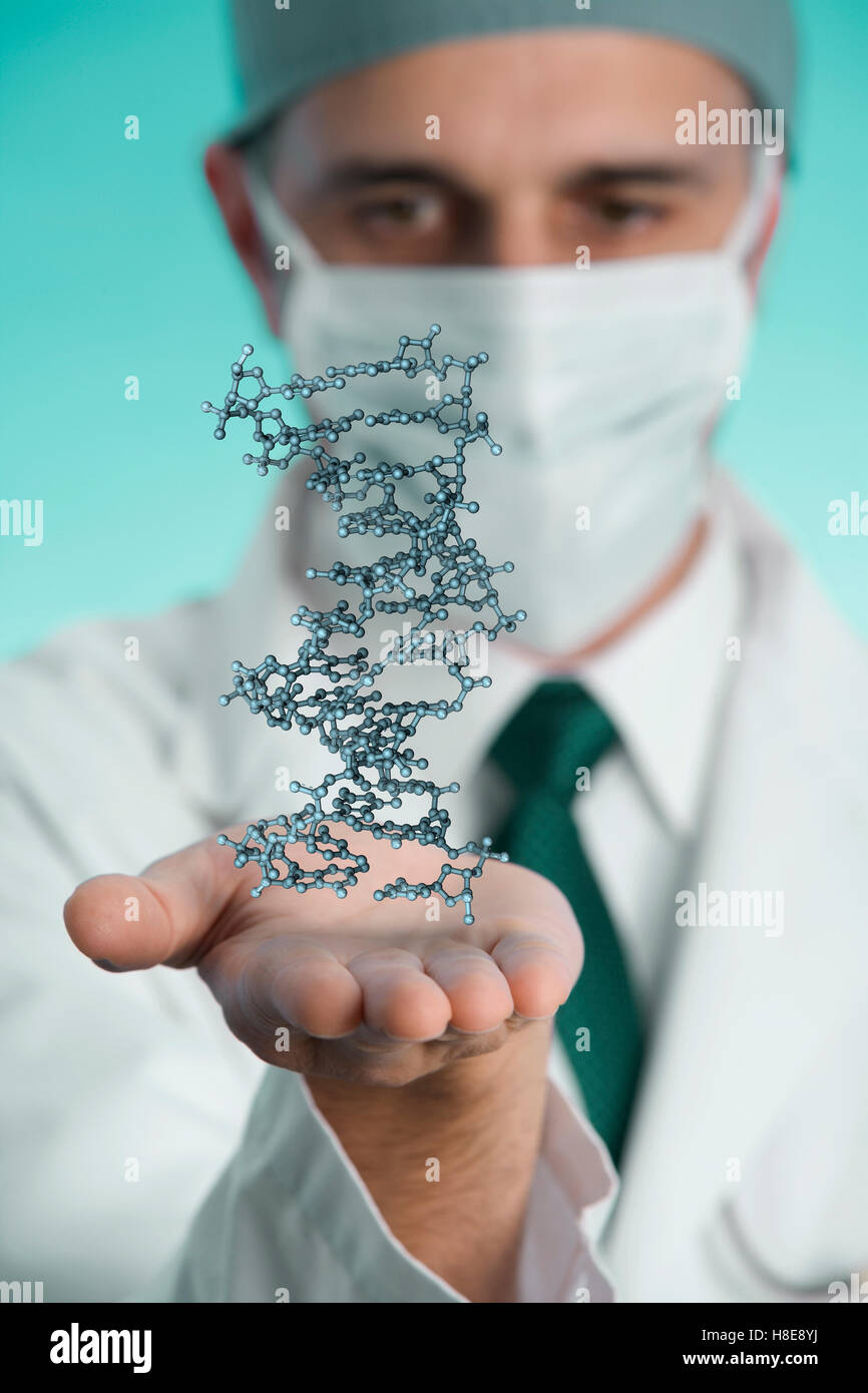 doctor holding DNA molecule Stock Photo - Alamy