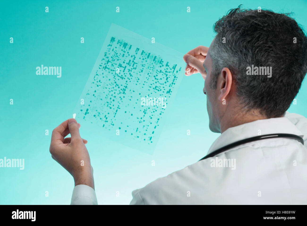 doctor holding DNA film scan Stock Photo - Alamy
