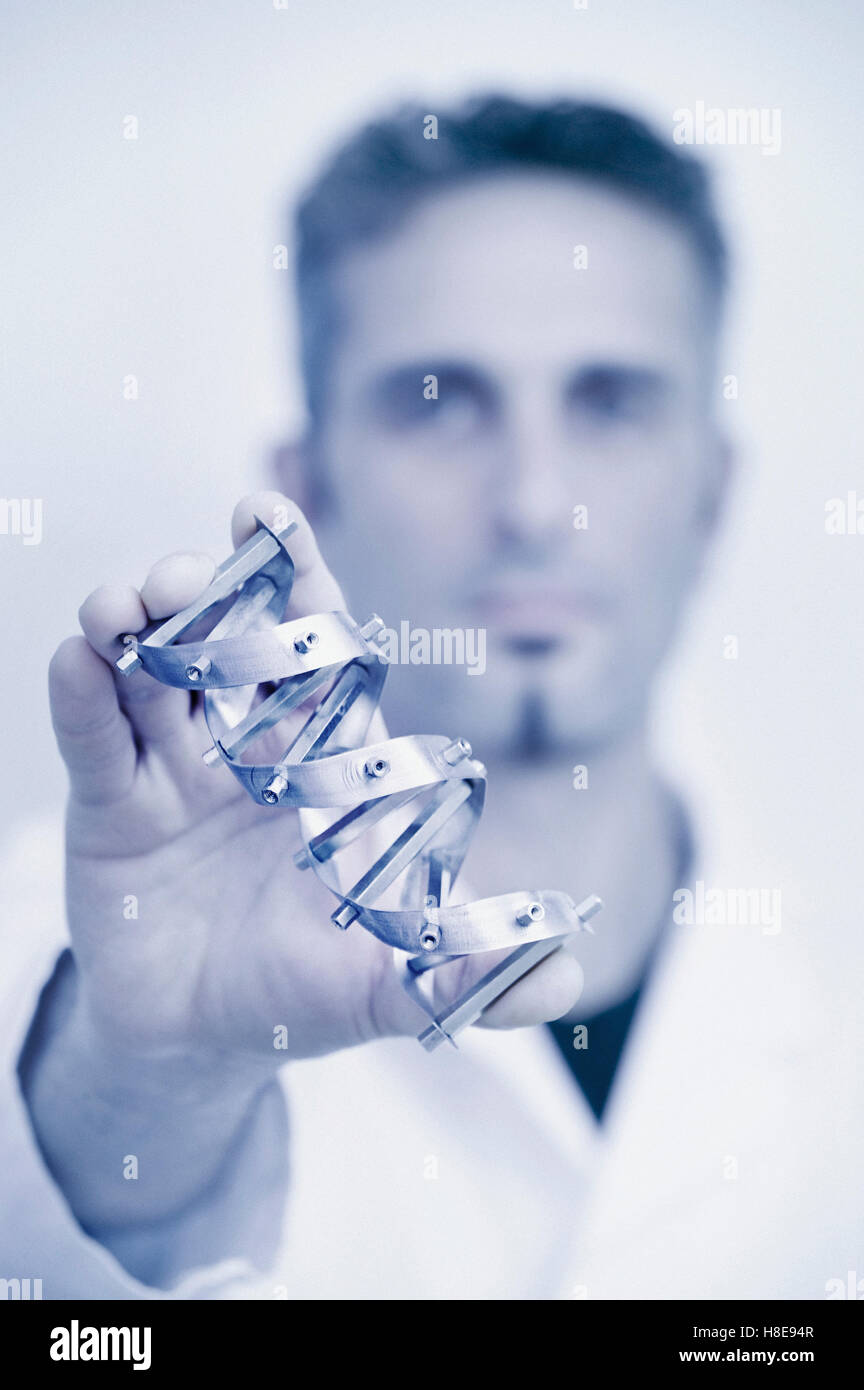 Doctor holding DNA model Stock Photo - Alamy