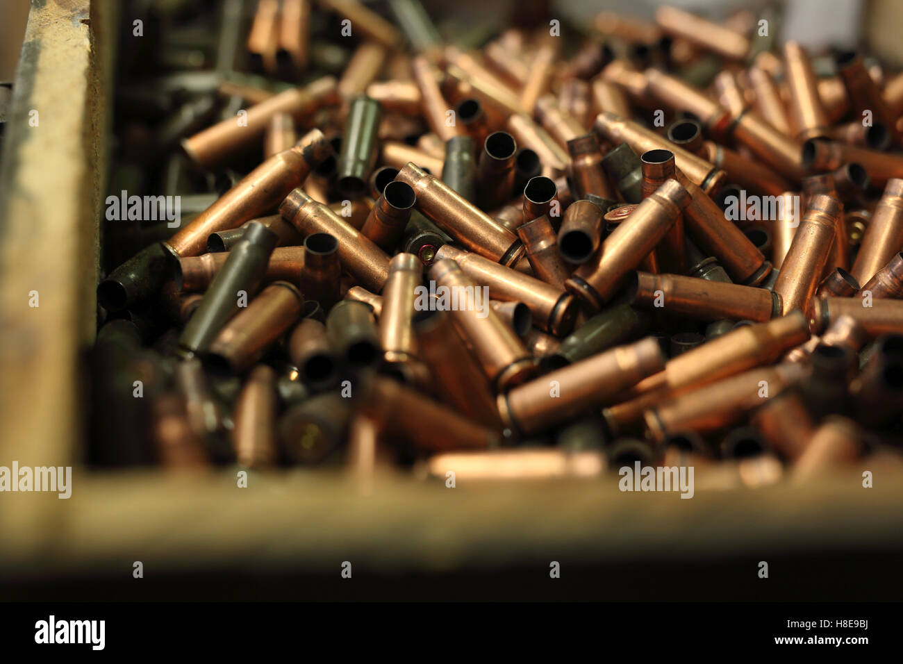 The scales on the cartridges. The bullet, brass scales on the ...