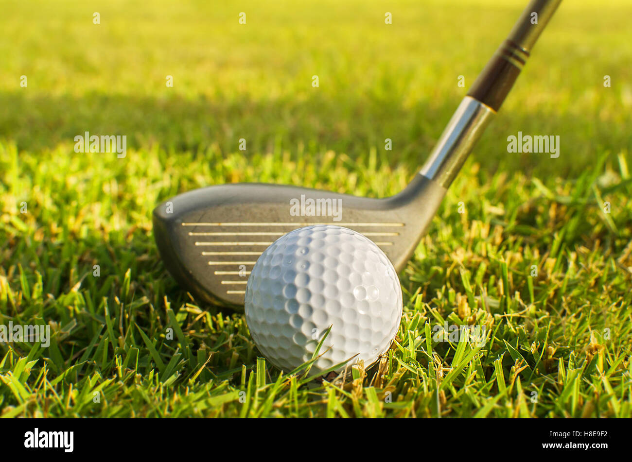 Golf ball in grass hi-res stock photography and images - Alamy