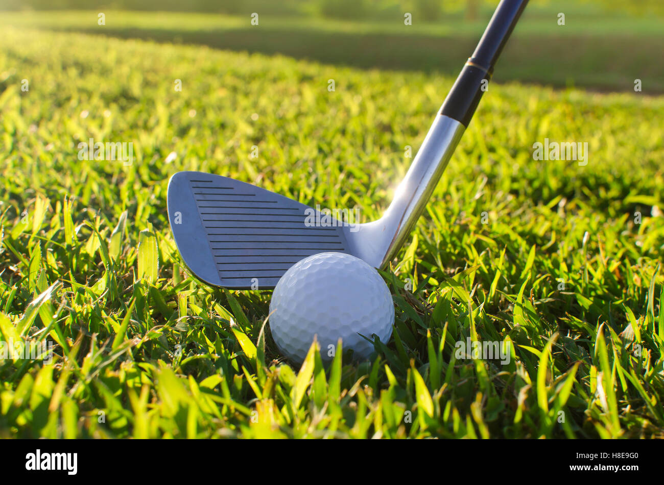 Golf club and ball in grass Stock Photo - Alamy