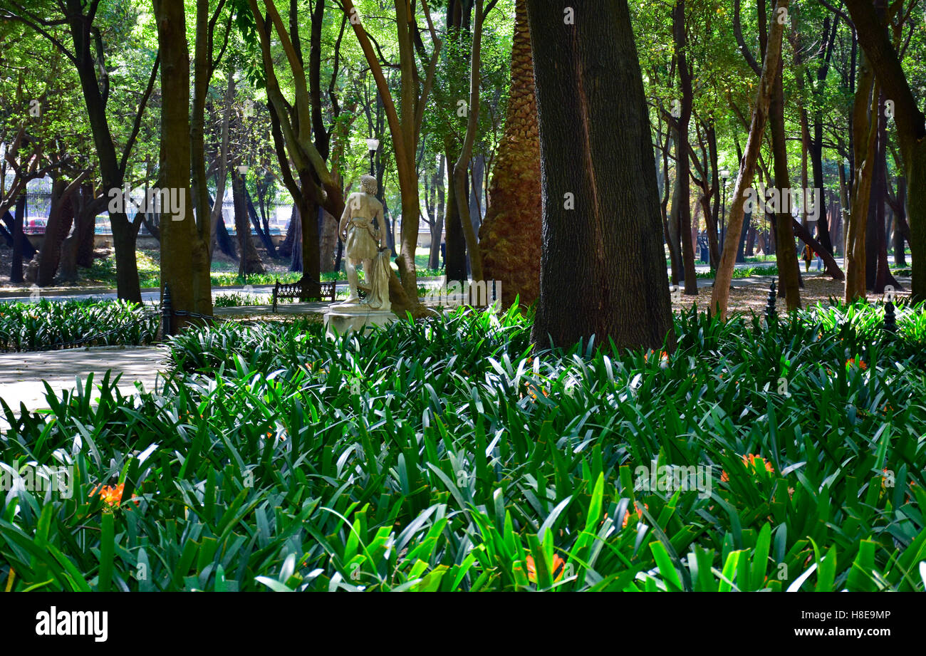 Chapultepec Park, Mexico City, D.F., Mexico Stock Photo - Alamy
