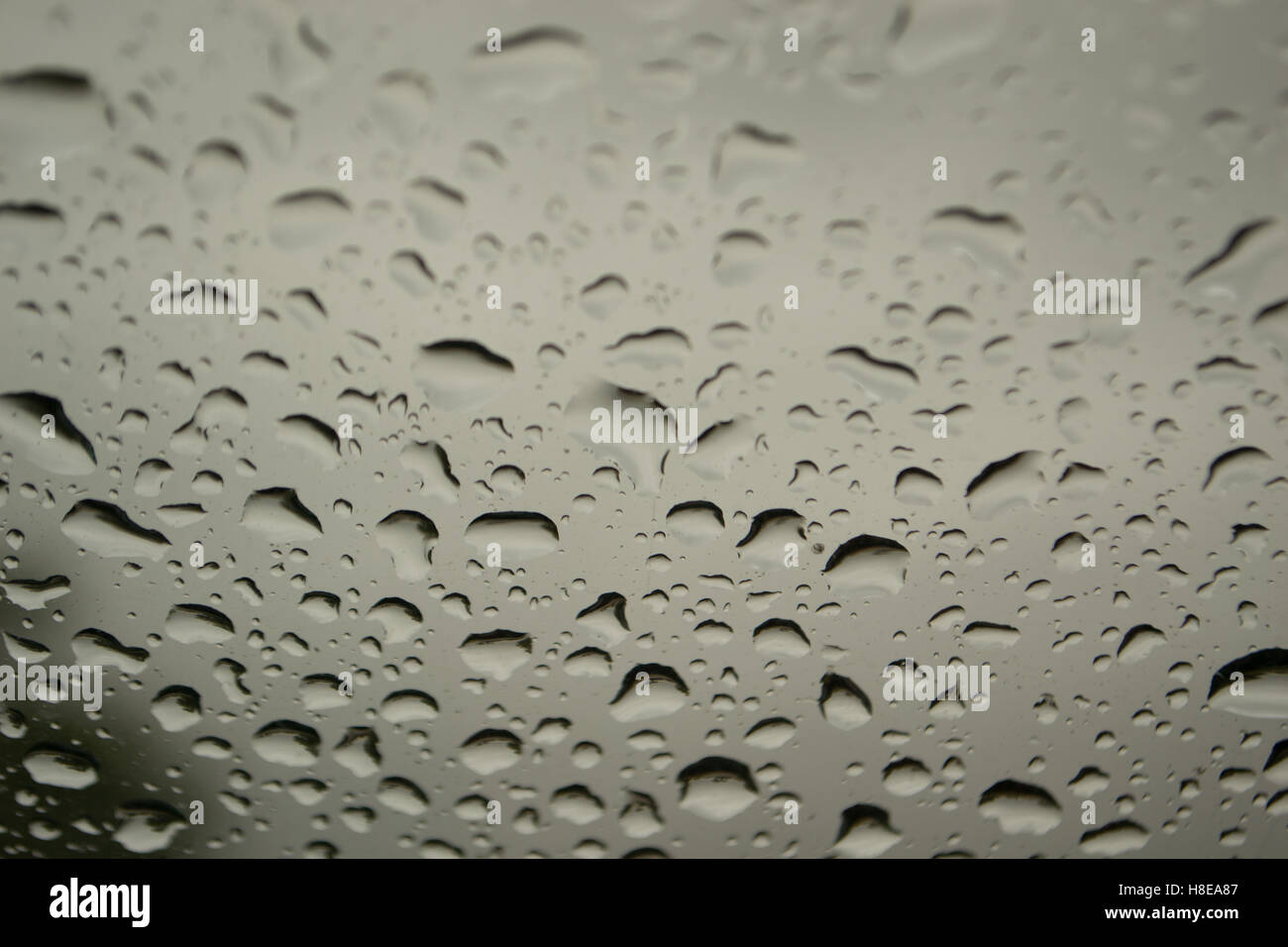 Water on a windshield after a thunderstorm Stock Photo - Alamy