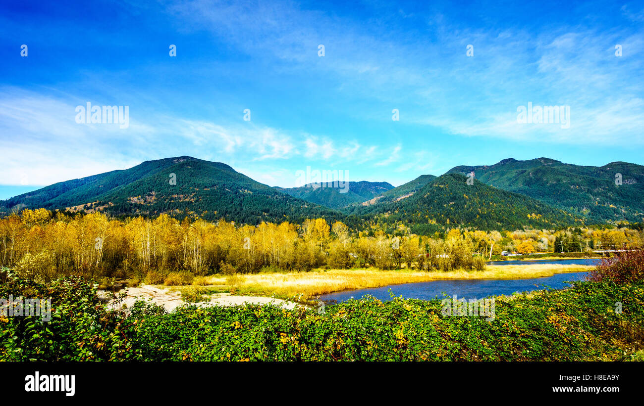 Fall Colors around Nicomen Slough, a branch of the Fraser River, as it ...