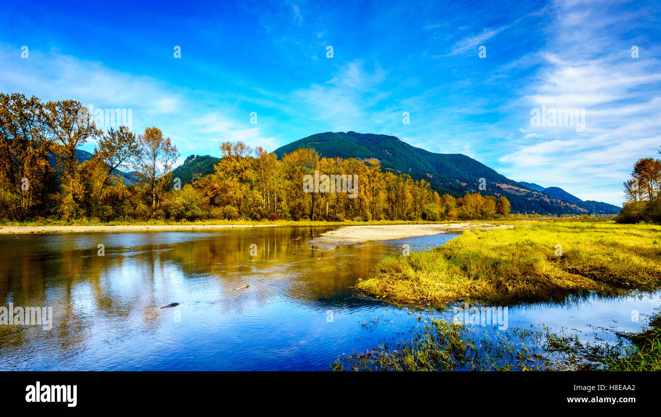Fall Colors around Nicomen Slough, a branch of the Fraser River, as it ...
