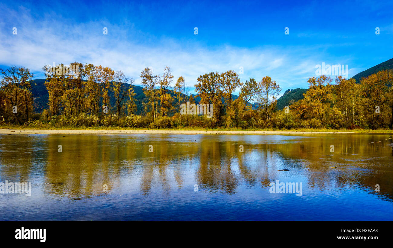 Fall Colors around Nicomen Slough, a branch of the Fraser River, as it ...