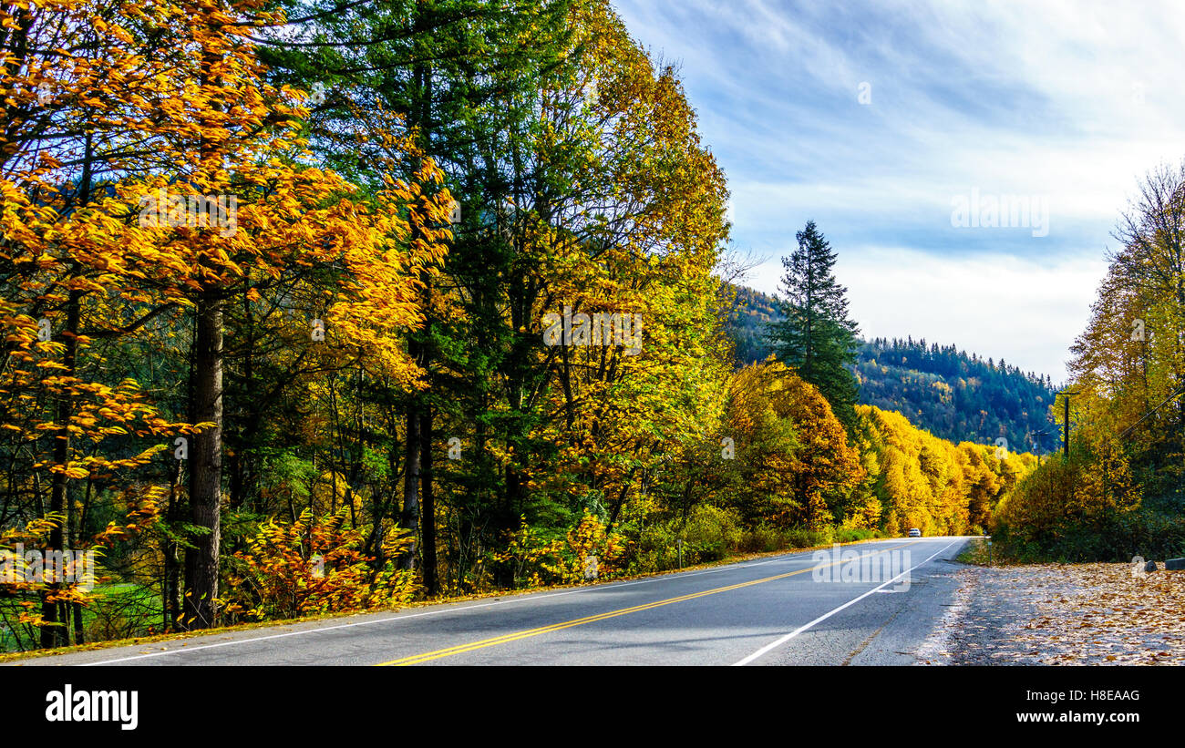 Highway 7, the Lougheed Highway near the settlement of Deroche in Fall ...