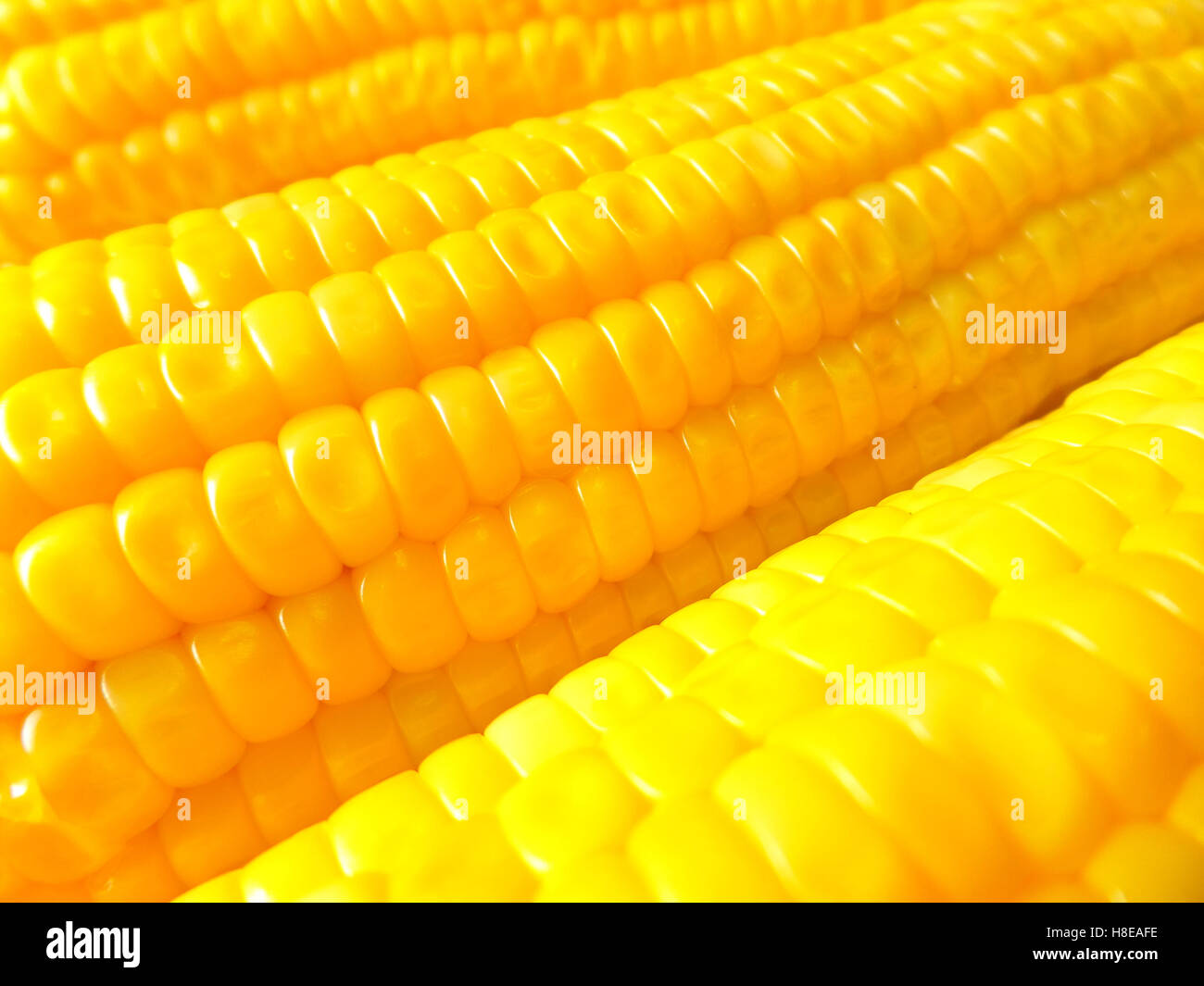 Boiled Vivid Orange Yellow Sweet Corn, Close-up for Background, Texture ...