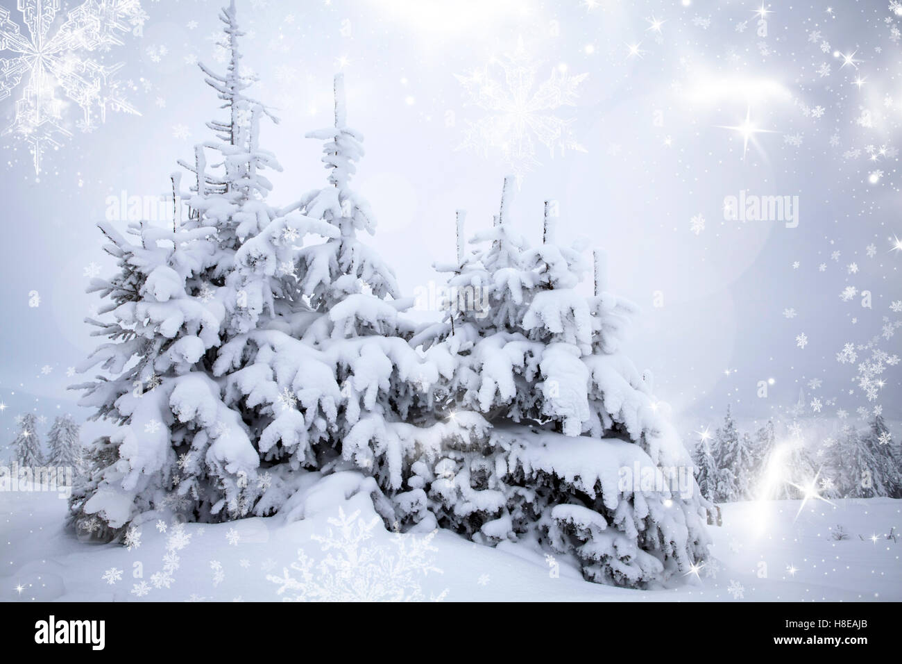 Snowfall in the mountains - Christmas forest background Stock Photo - Alamy