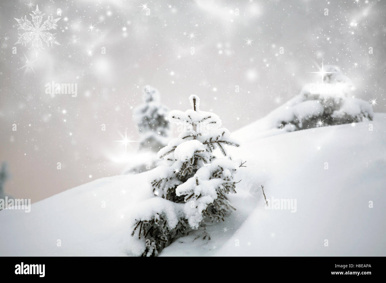 Snowfall in the mountains - Christmas forest background Stock Photo - Alamy