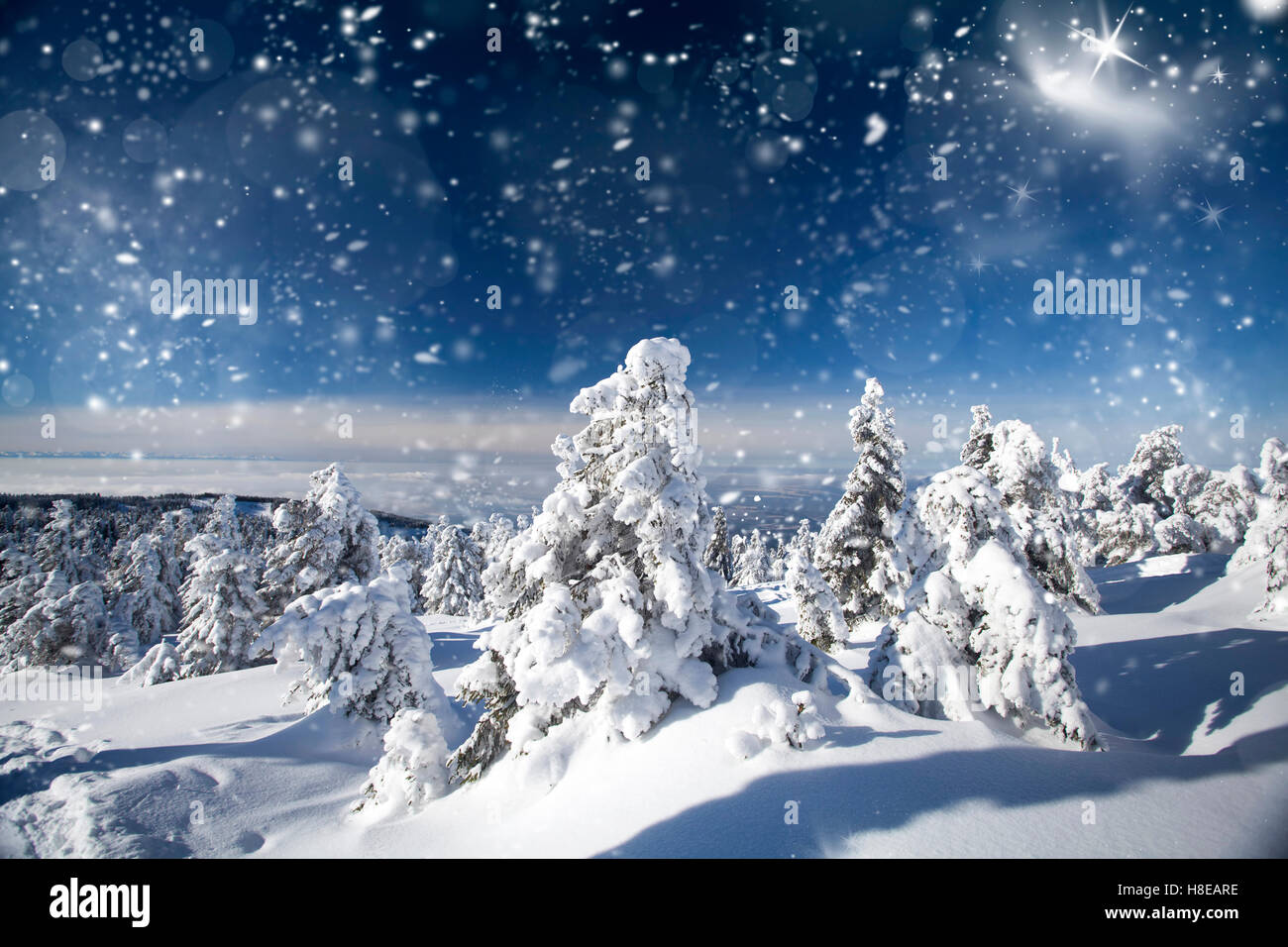 Snowfall in the mountains - Christmas forest background Stock Photo - Alamy