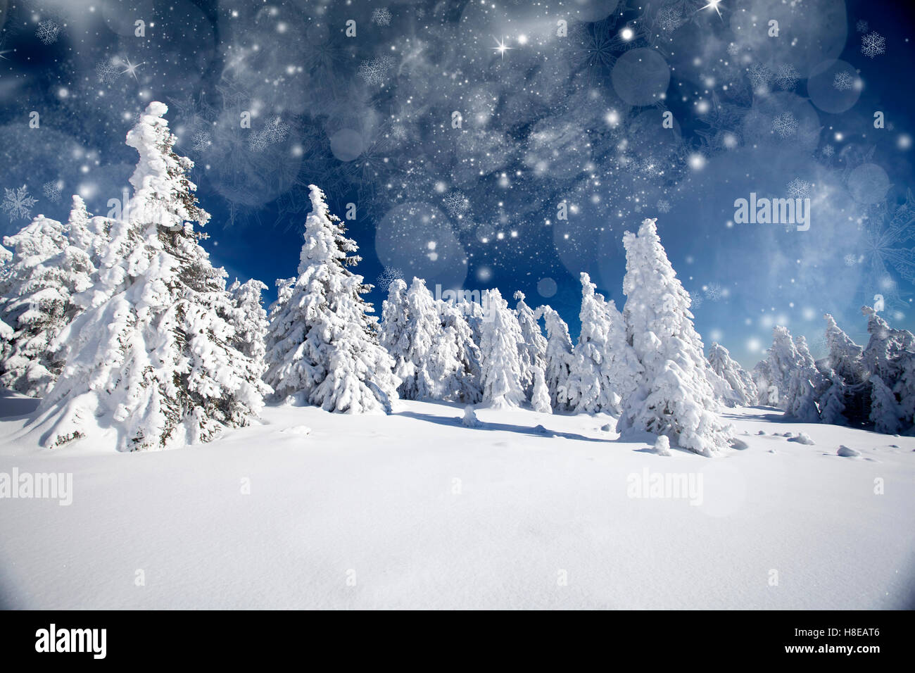 Snowfall in the mountains - Christmas forest background Stock Photo - Alamy