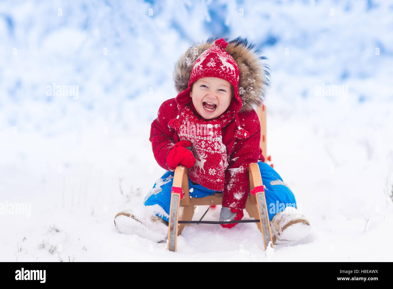 Little girl enjoying a sleigh ride. Child sledding. Toddler kid riding a sledge. Children play ...