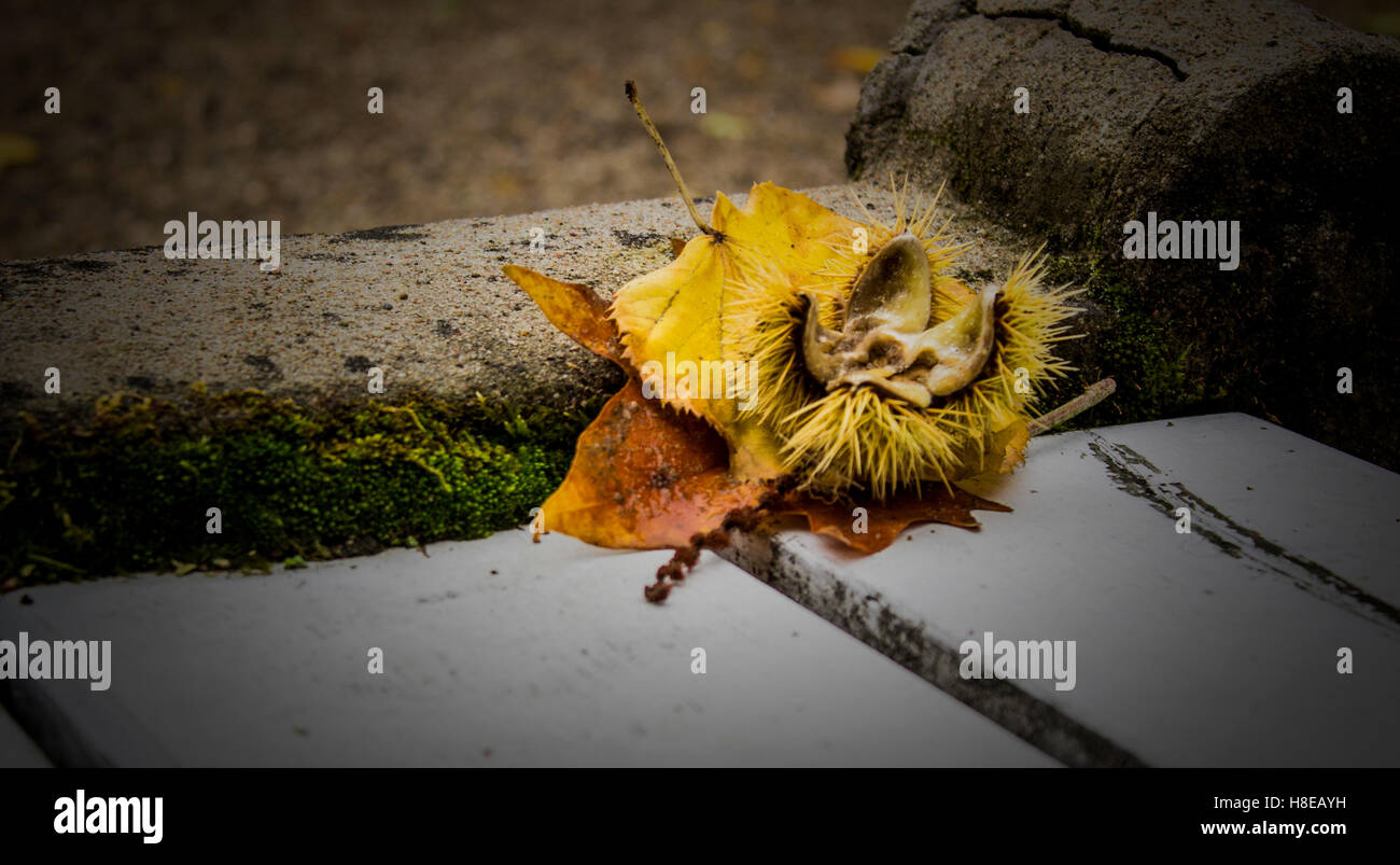 Fall at the old castle. Shot in Denmark Stock Photo - Alamy