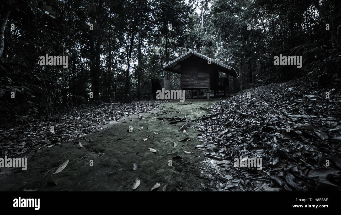 Old overgrown cabin in woods hi-res stock photography and images - Alamy