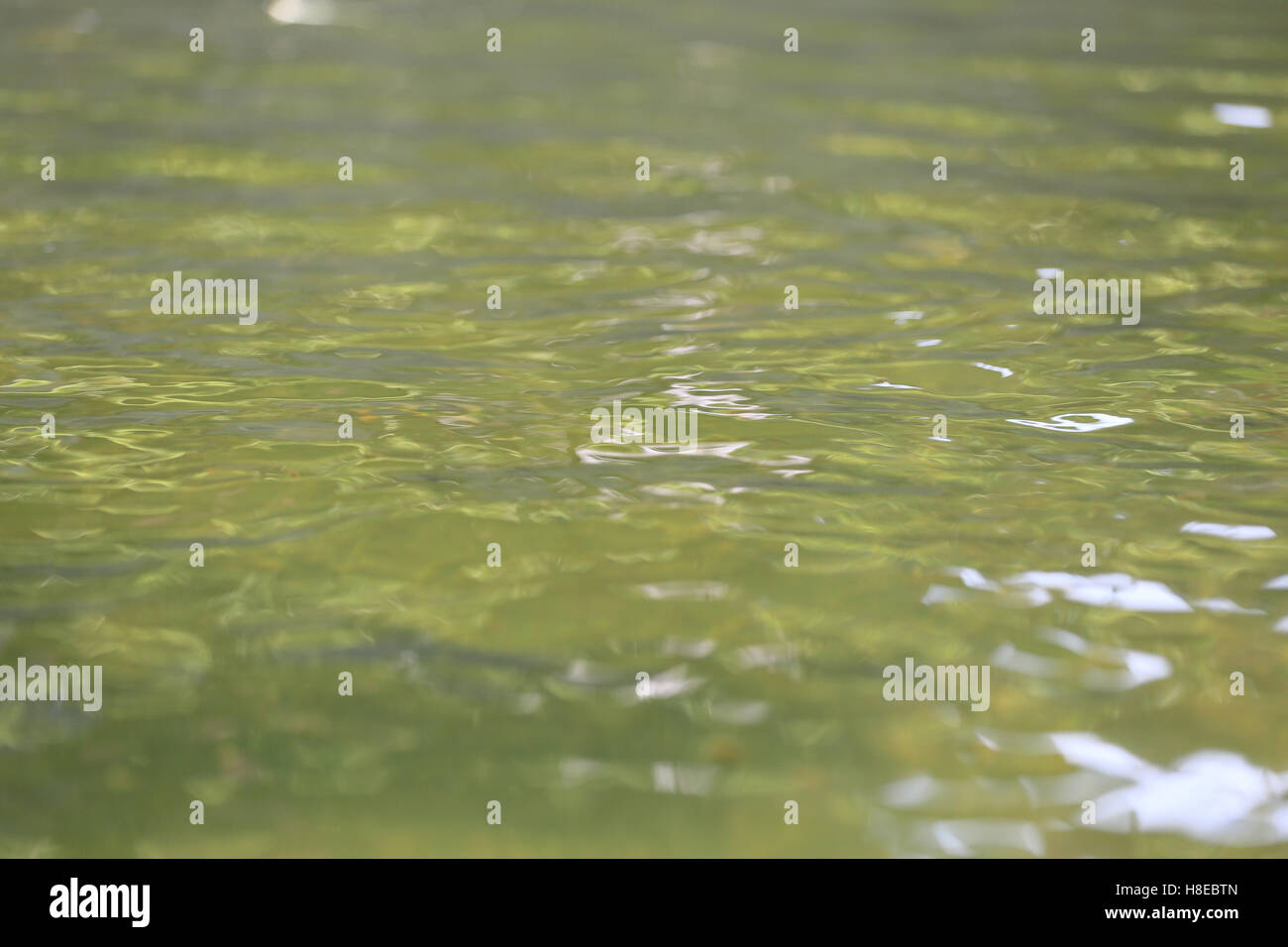 Abstract yellow water in pond for the design background Stock Photo - Alamy