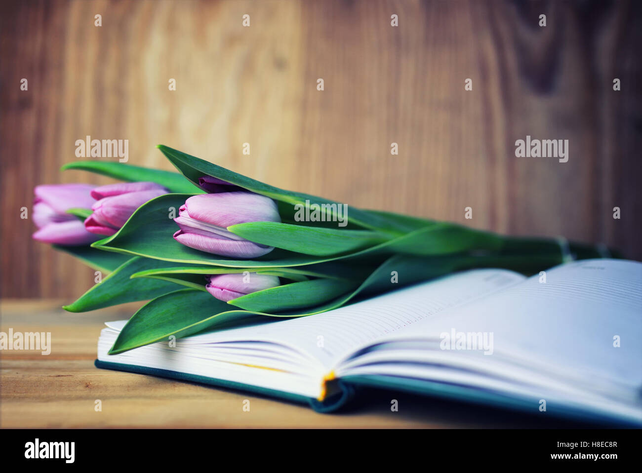 reading book with tea flower and sweet Stock Photo - Alamy