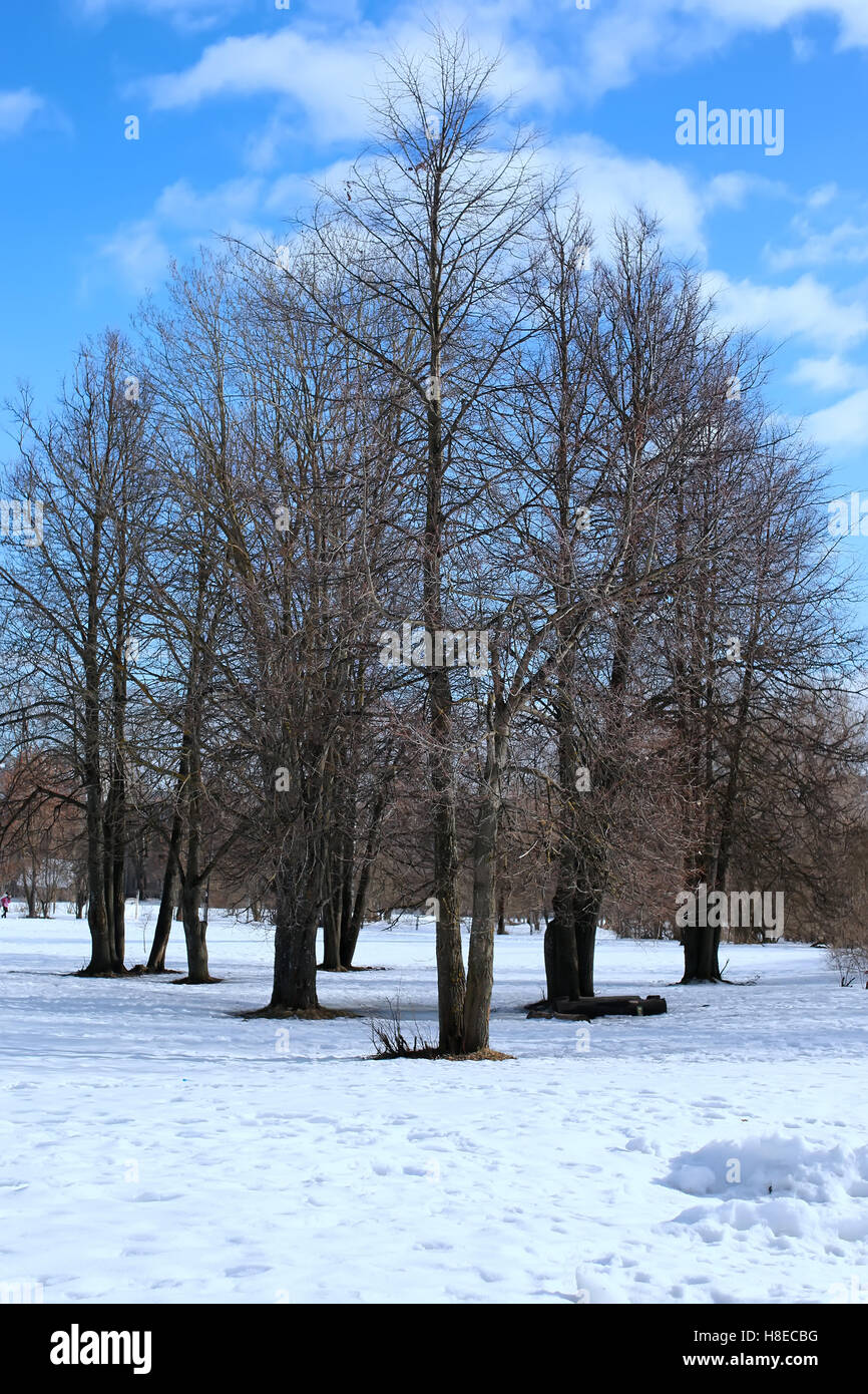 thaw spring lanscape tree Stock Photo - Alamy